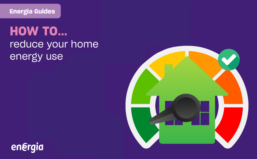 How to reduce your home energy use | Energia