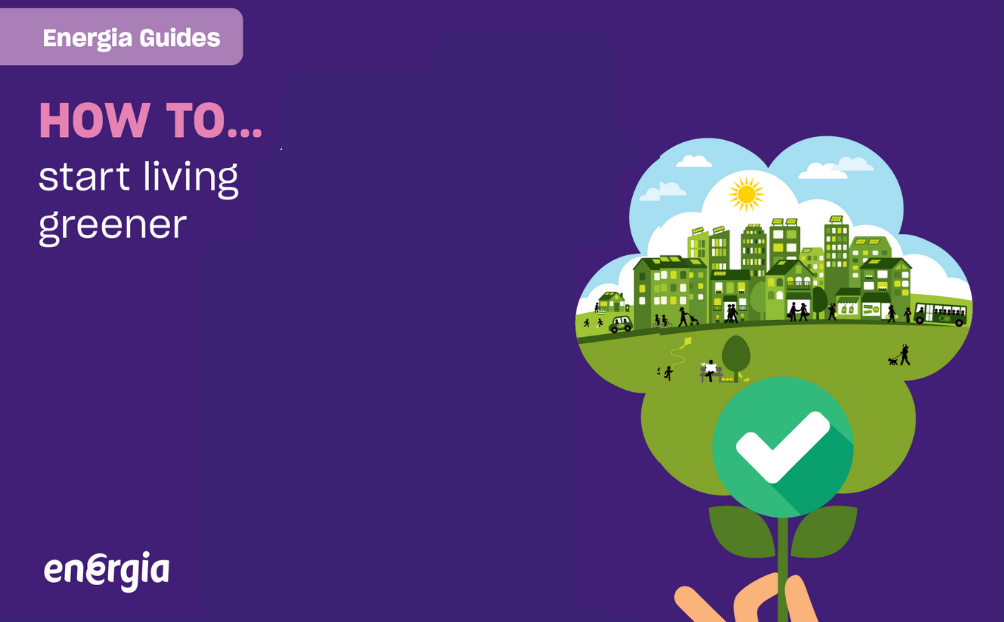 How to start living greener | Energia