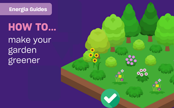 Sustainable Gardening: Top Tips for a Greener Garden | Energia